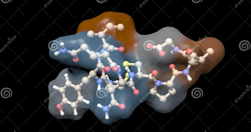 Oxytocin Molecule, Solid Surface and Ball and Stick View. 3d Rendering ...