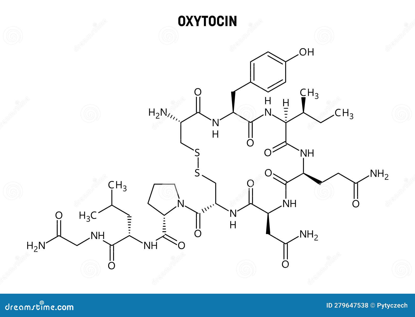 Oxytocin Structural Formula of Molecular Structure Stock Illustration ...