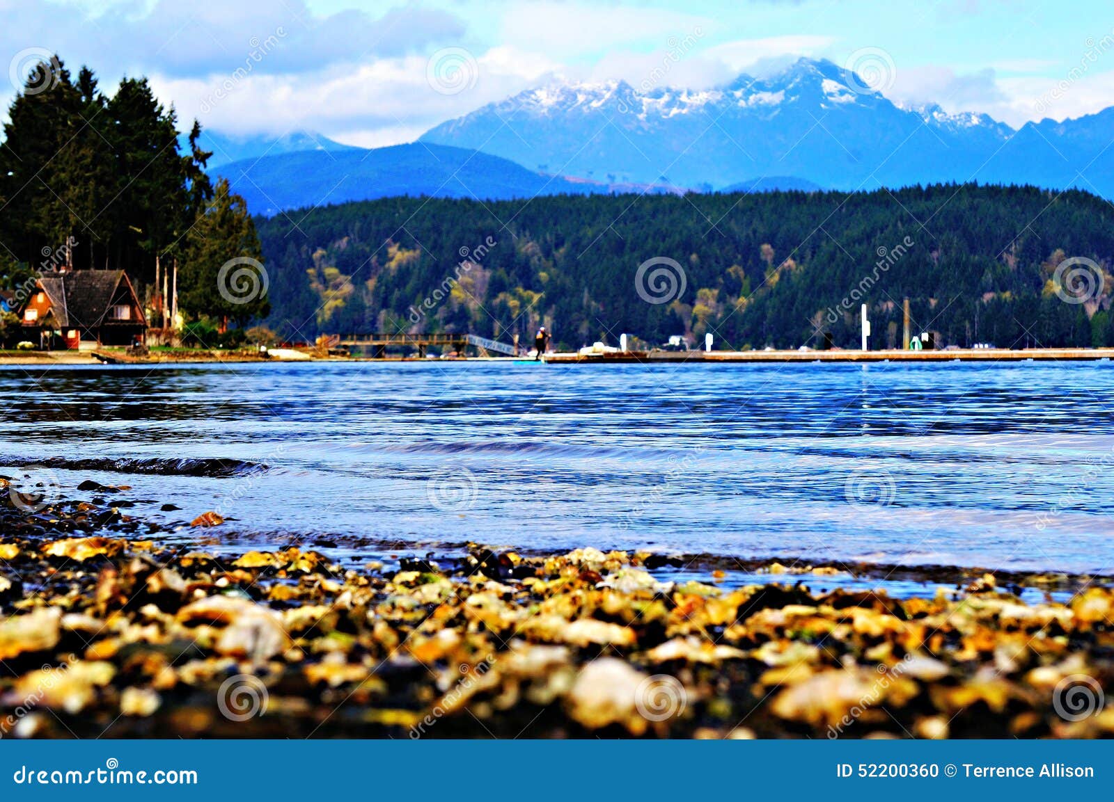 Oyster Bed Hood Canal Stock Photos - Free & Royalty-Free Stock Photos ...