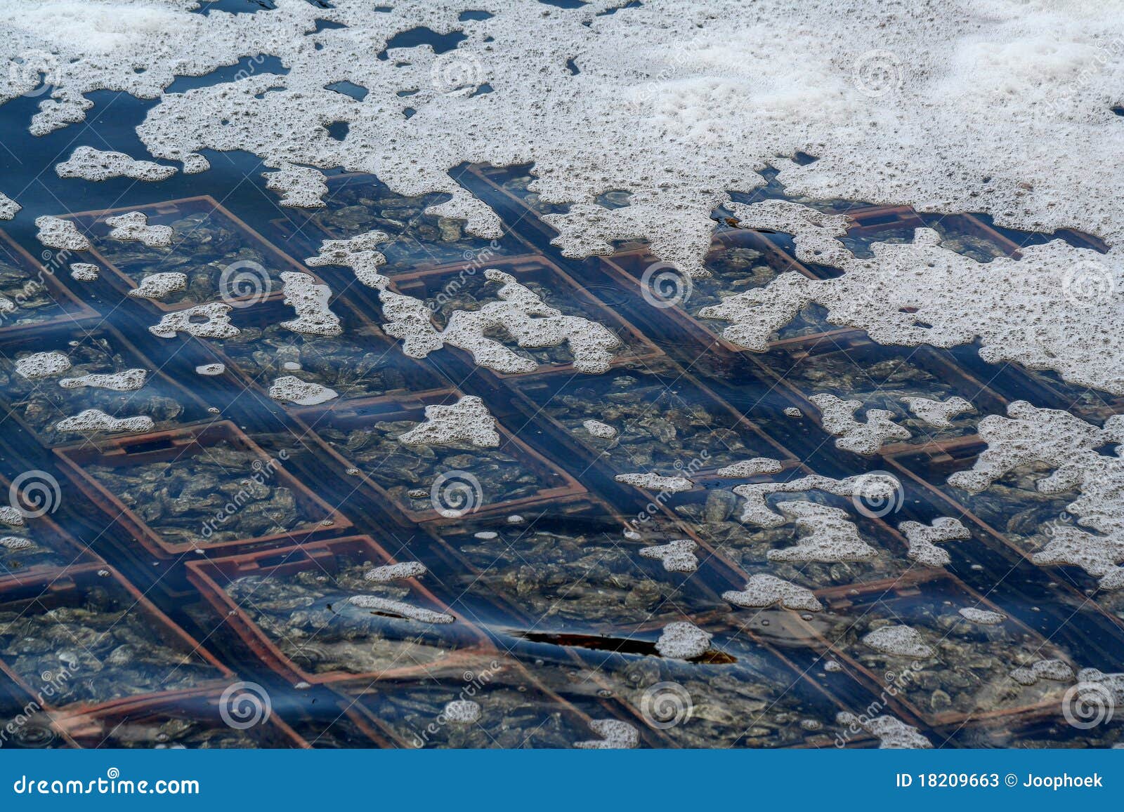 Oyster-culture stock image. Image of dutch, seafood, coast - 18209663