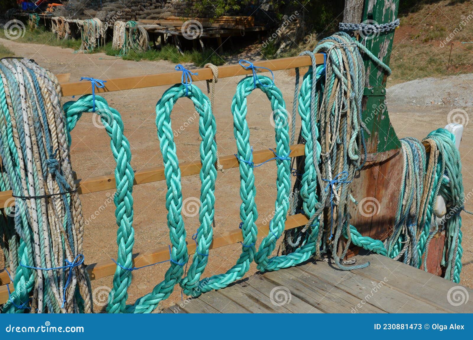 Oyster Farming, Oyster Farm, Ropes Stock Image - Image of coast ...
