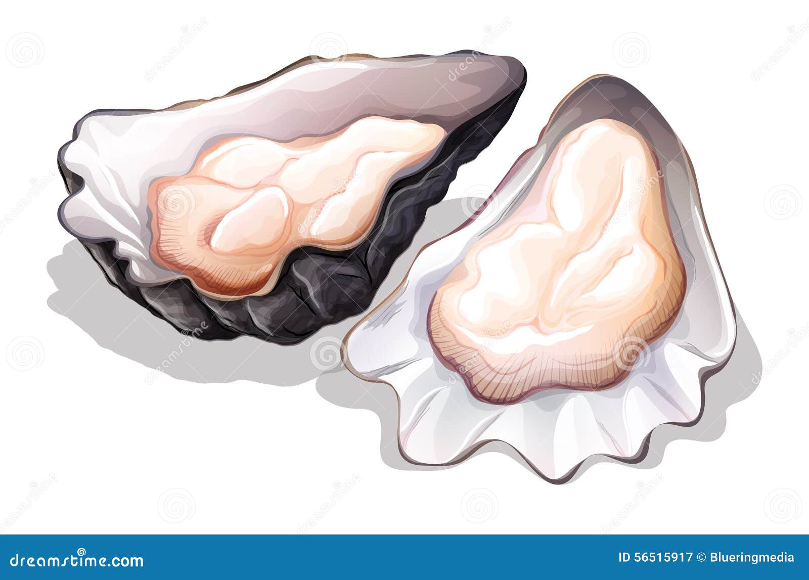 Oyster Cartoons, Illustrations & Vector Stock Images - 15176 Pictures ...
