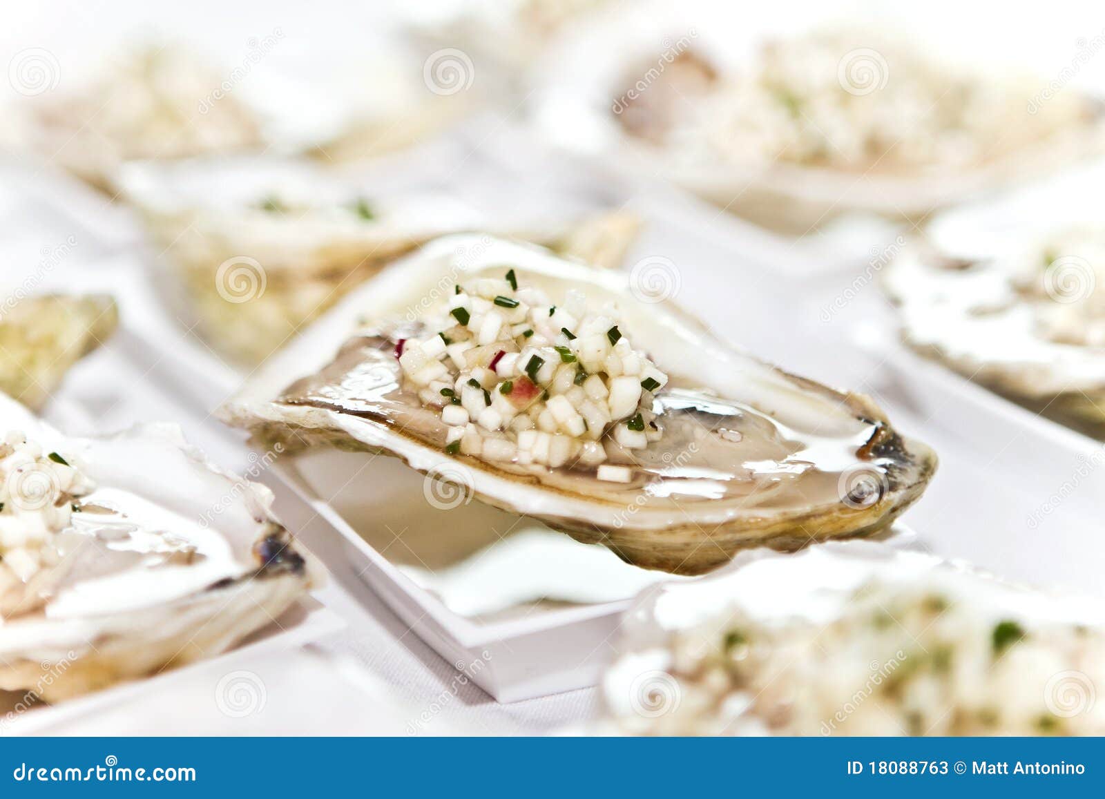 Oyster half shell stock image. Image of shellfish, close - 18088763