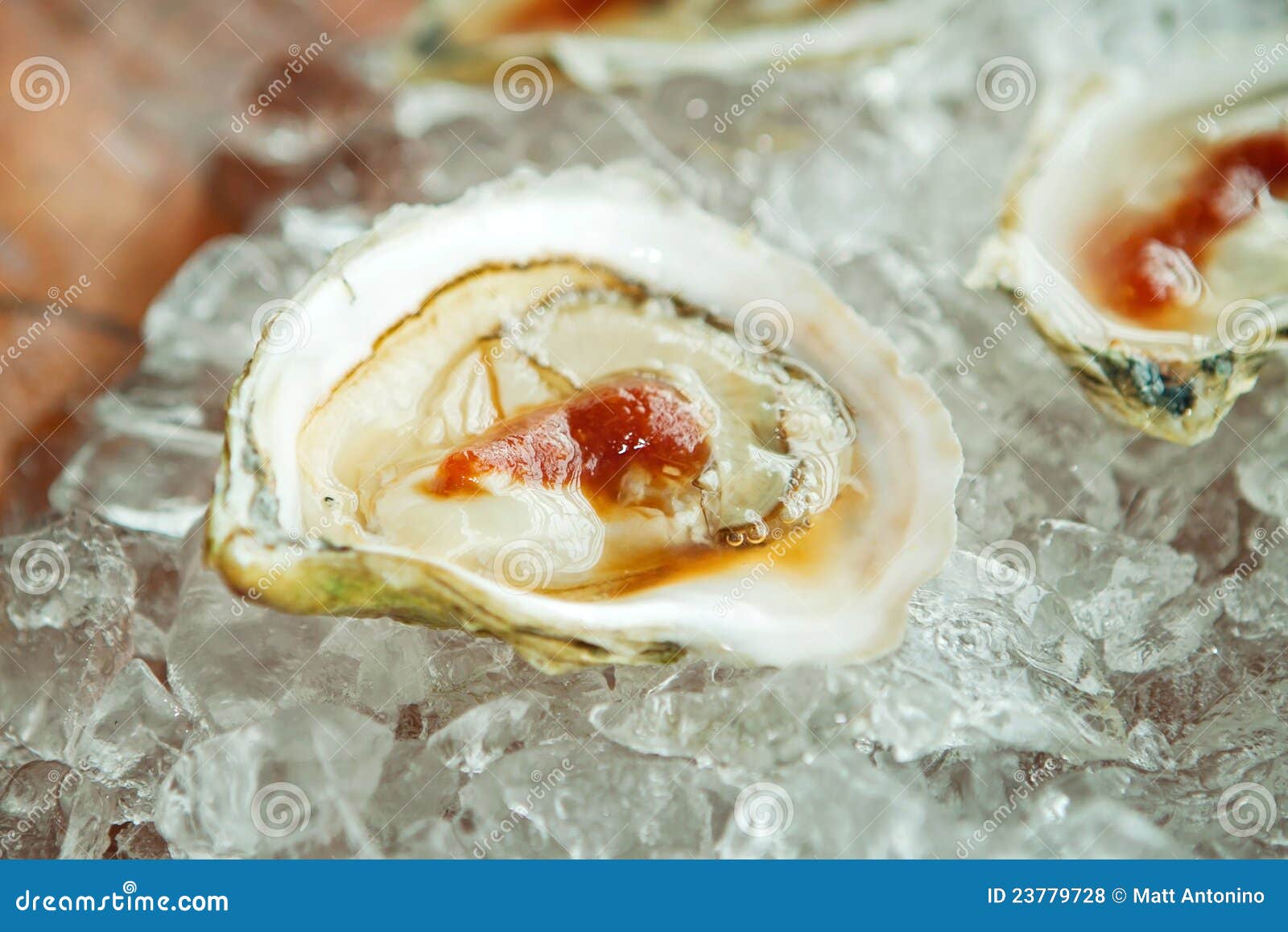 Oyster half shell stock photo. Image of gourmet, healthy - 23779728