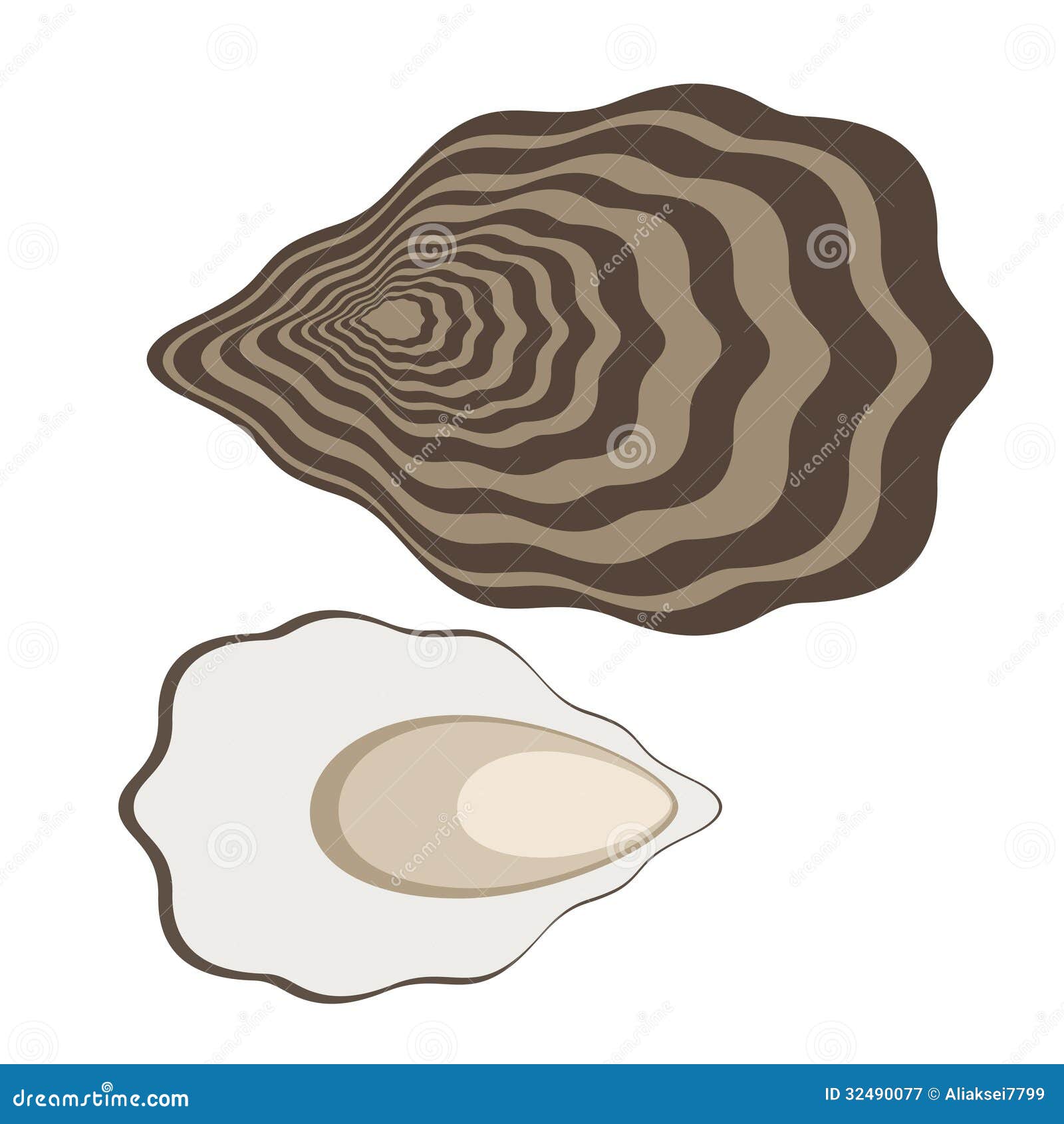 Oyster stock vector. Illustration of delicacy, meat, design - 32490077