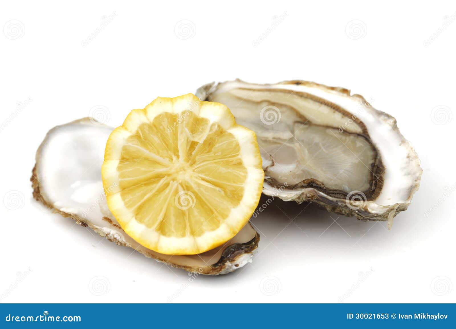 Oyster and lemon on white stock image. Image of dinner - 30021653