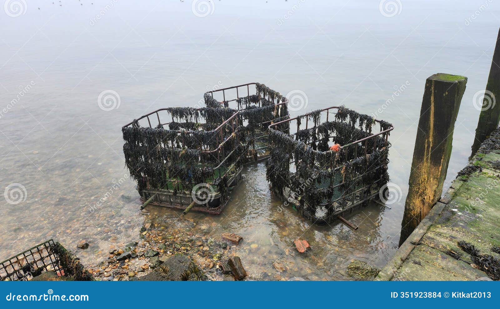 Oyster Nets on Seafront in Whitstable Stock Photo - Image of oyster ...