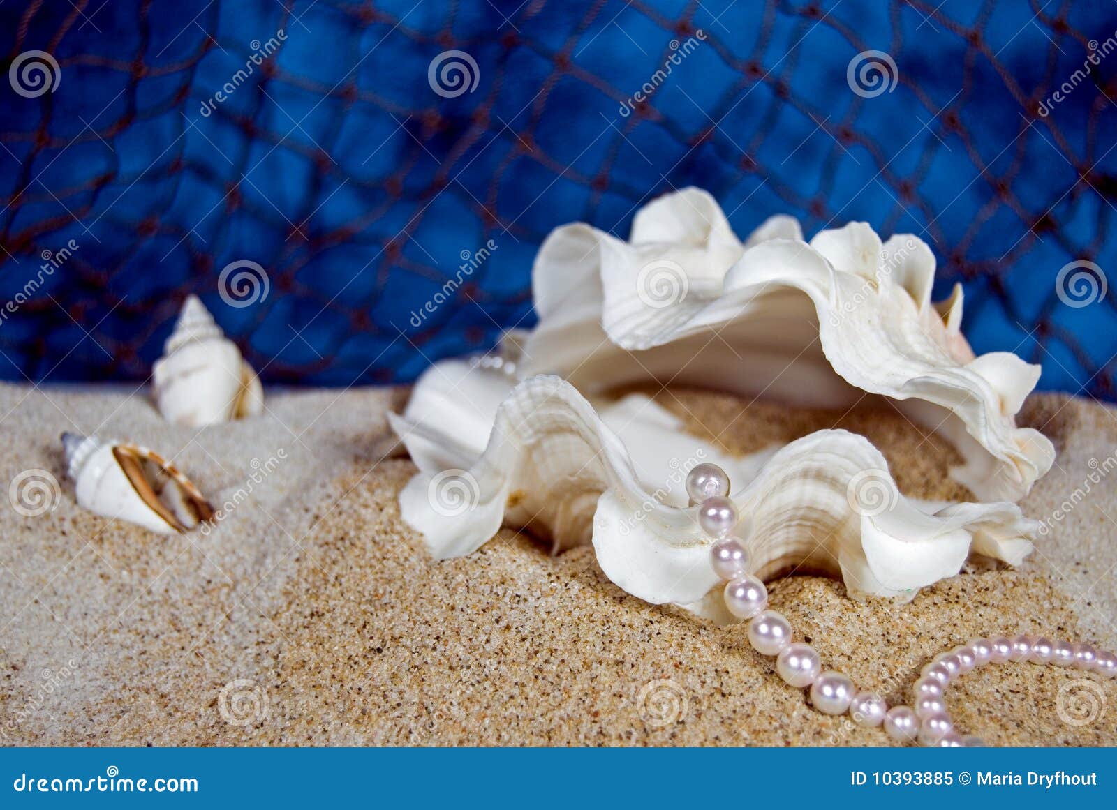 Oyster Opulence stock image. Image of seashore, opulence - 10393885