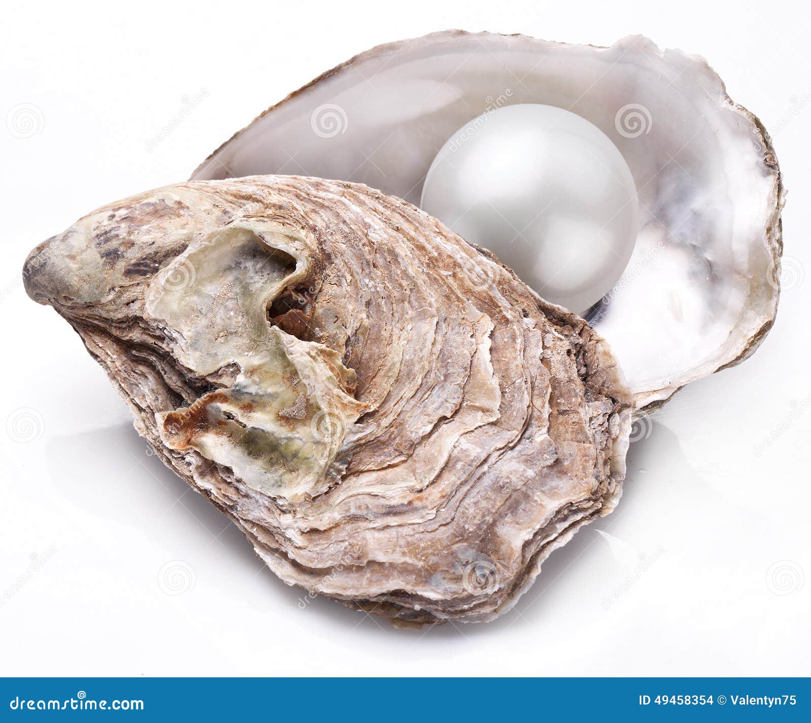 Pearl In Oyster Shell Underwater Background Royalty-Free Stock ...
