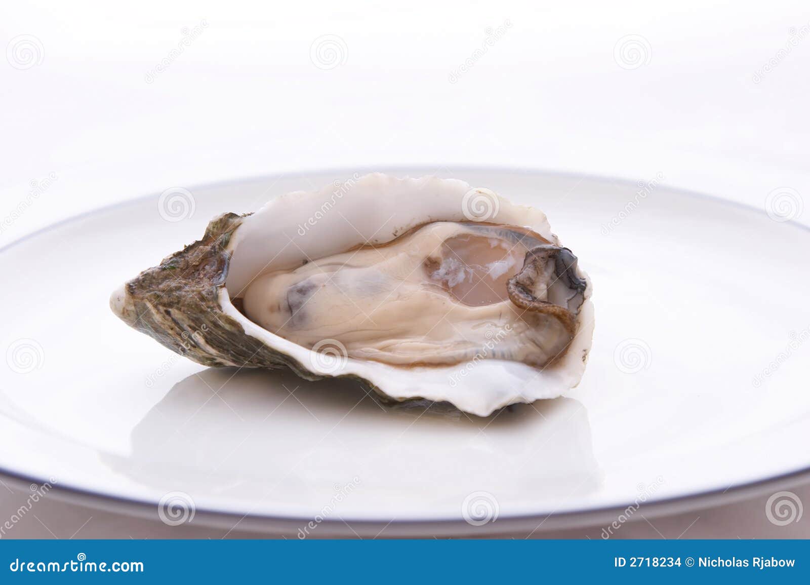 Oyster on a Plate stock photo. Image of meat, shell, reflection - 2718234
