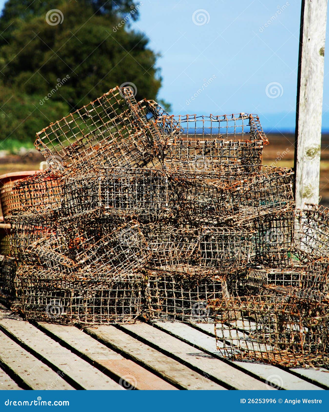 Oyster Pots stock photo. Image of jobs, beach, fish, pots - 26253996