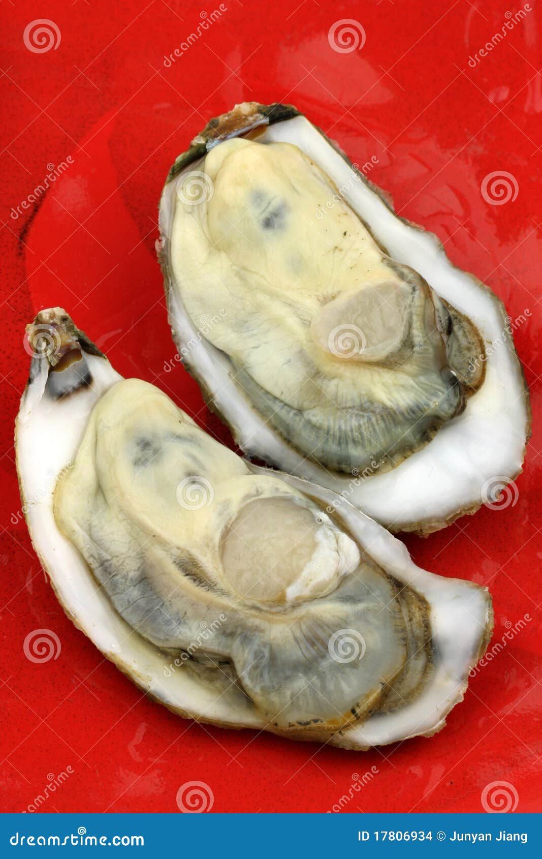 Oyster in shell stock photo. Image of freshness, delicatessen - 17806934