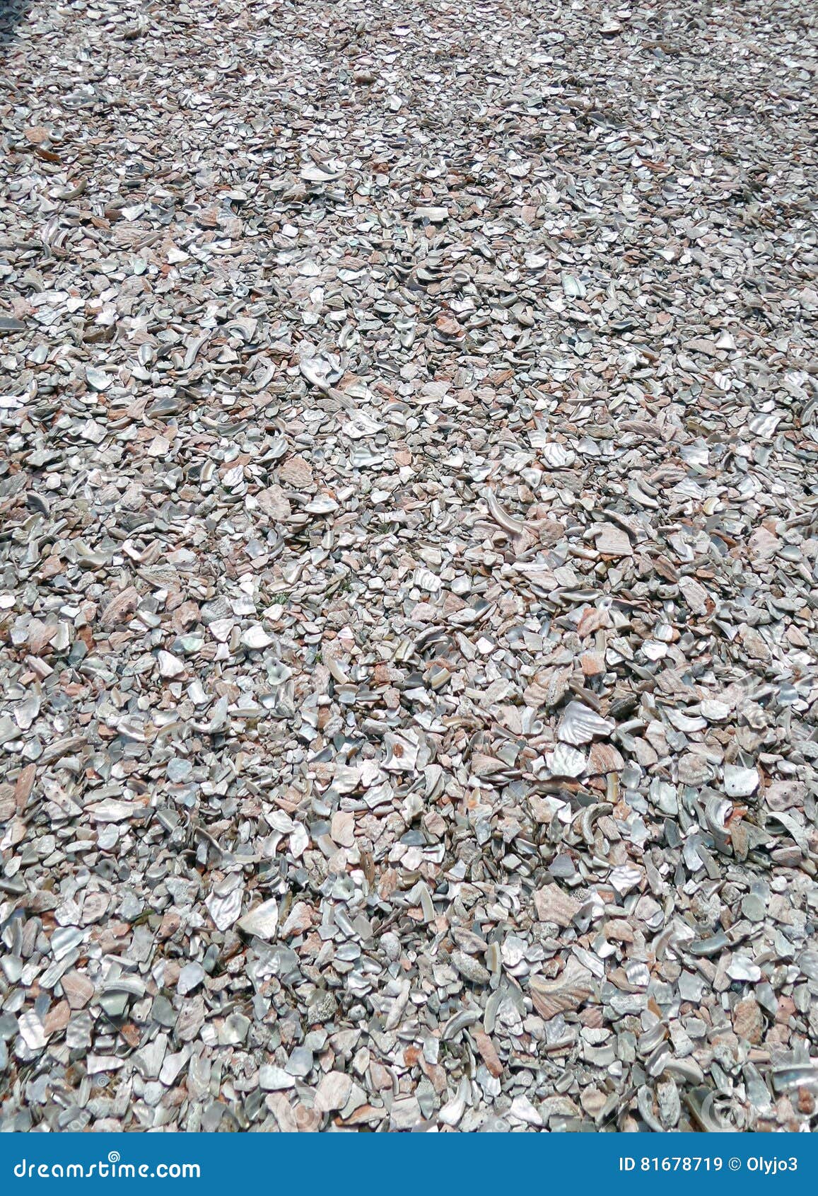 Oyster Shell, Crushed Oyster Shell, Stock Image - Image of detail ...