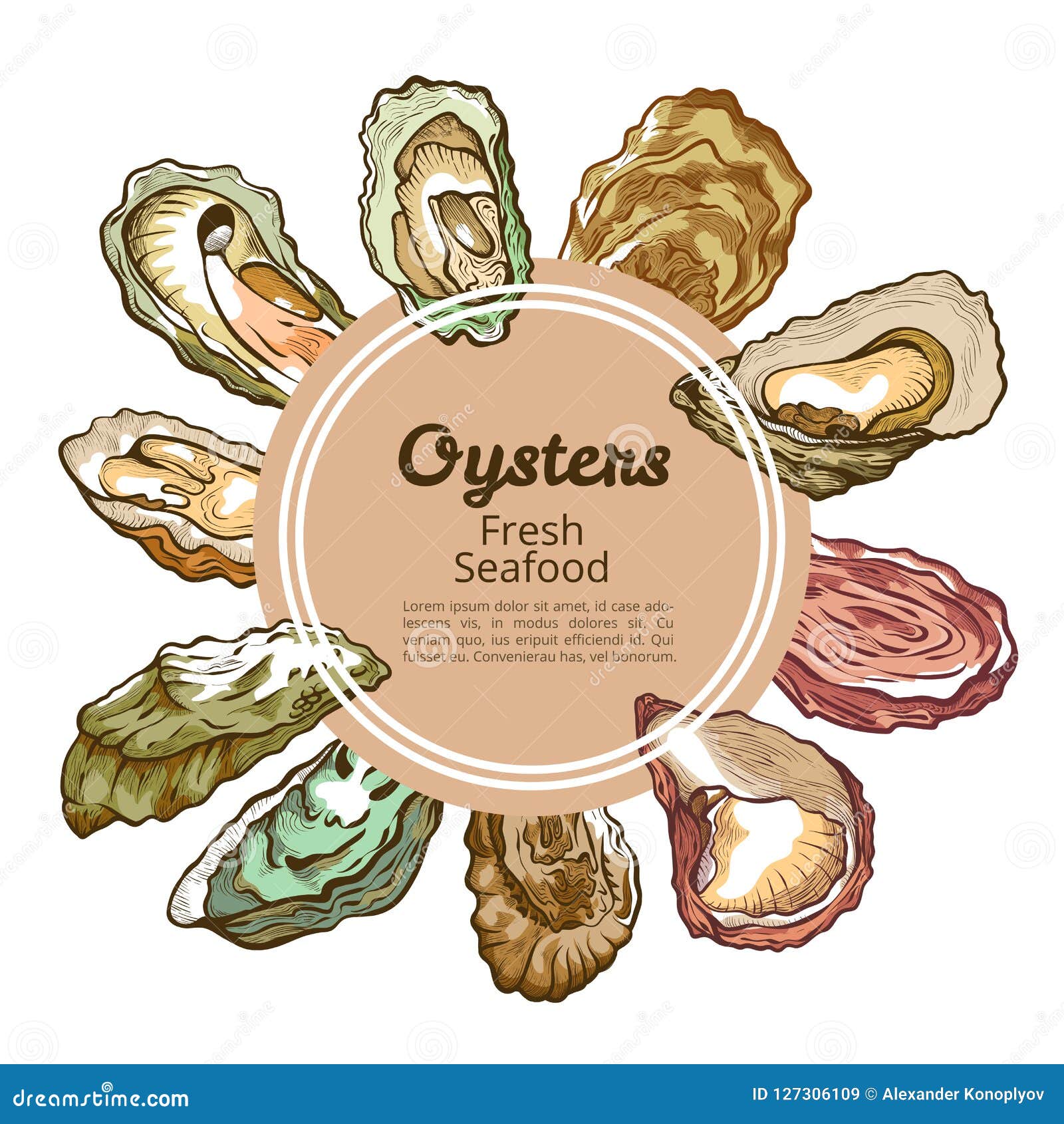 Oyster Shell Round Banner with Copy Space Stock Vector - Illustration ...