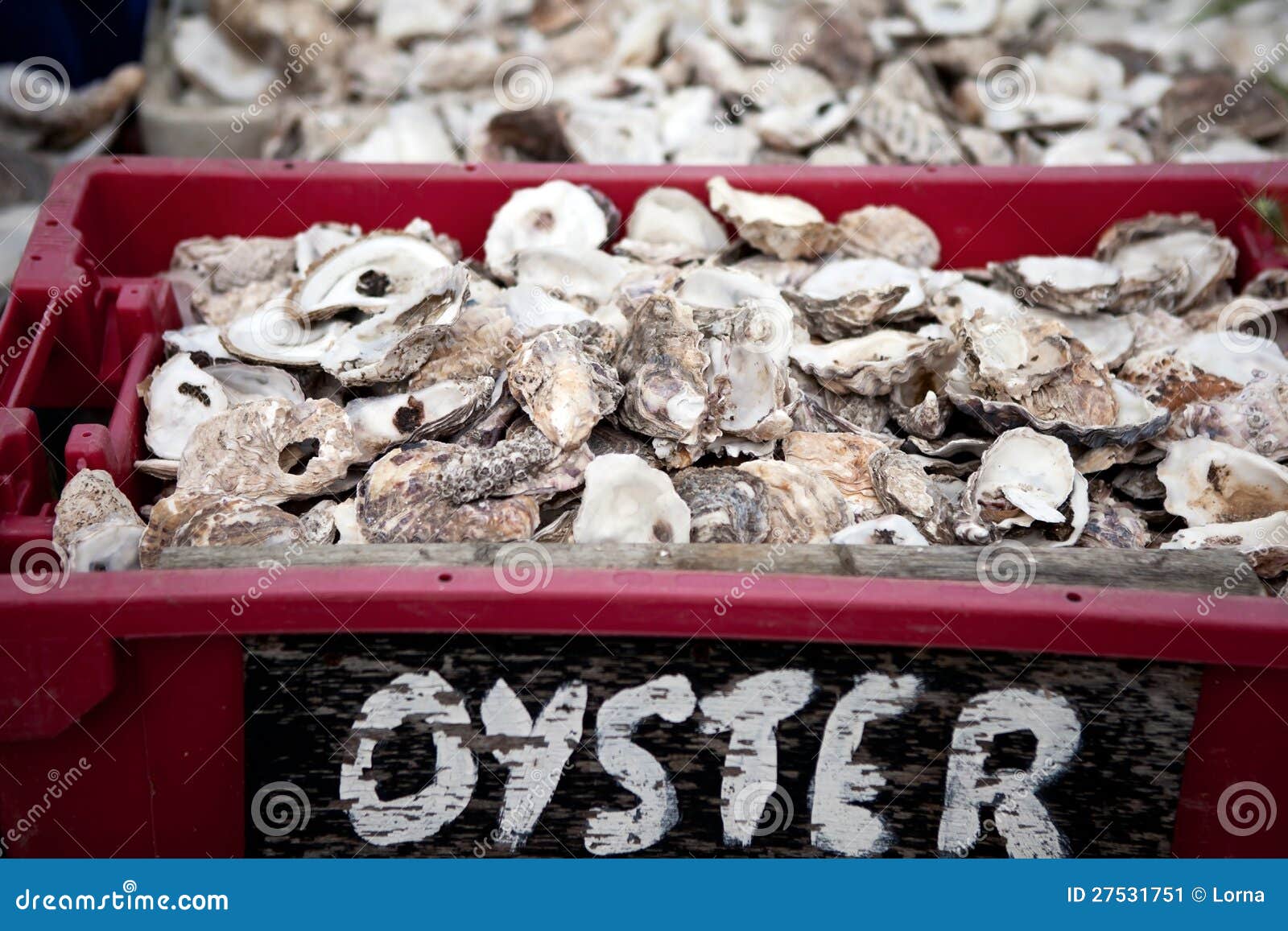 Oyster shell seafood stock image. Image of seashell, seashore - 27531751