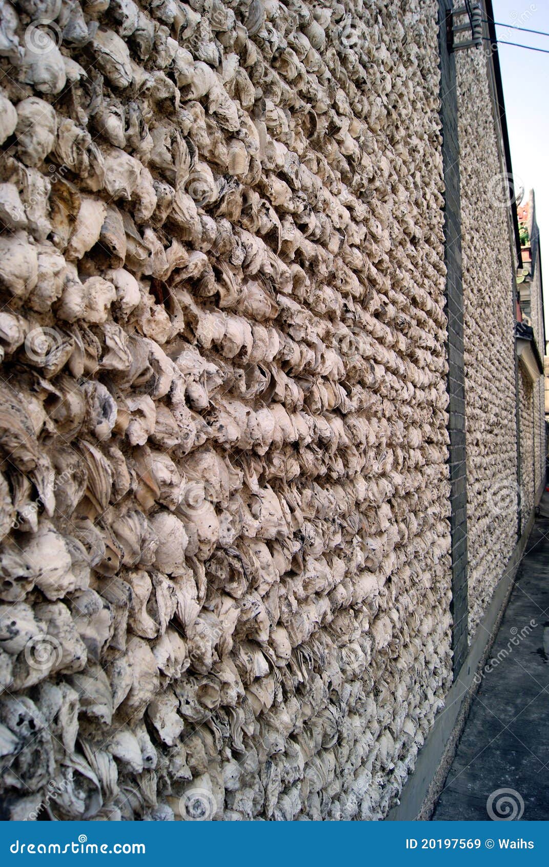 Oyster Shell Wall Royalty Free Stock Images - Image: 20197569