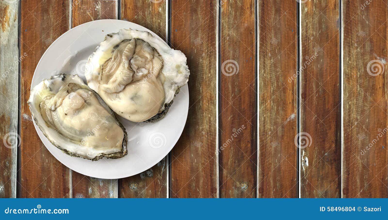 Oyster shell stock photo. Image of cook, shell, food - 58496804