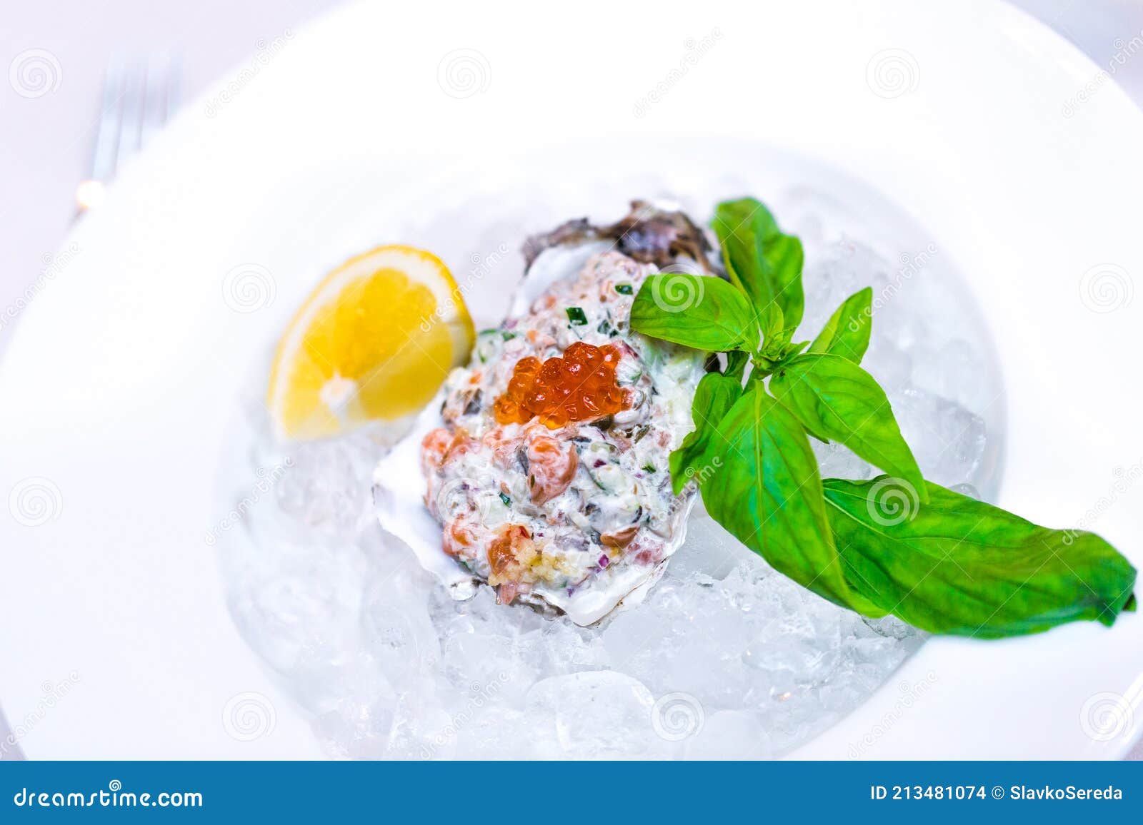 Oyster Tartare with Basil on Ice. Stock Photo - Image of cold, oysters ...