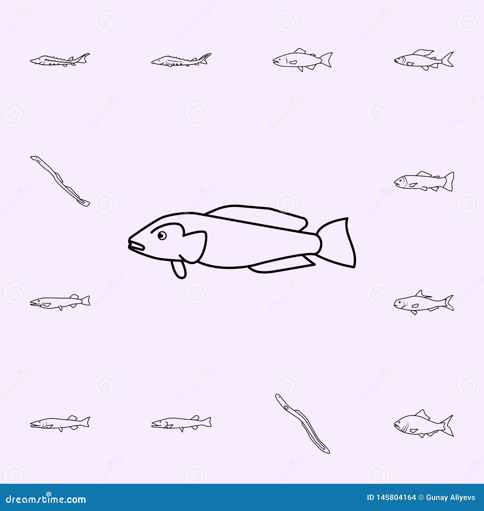 Oyster Toadfish Drawing