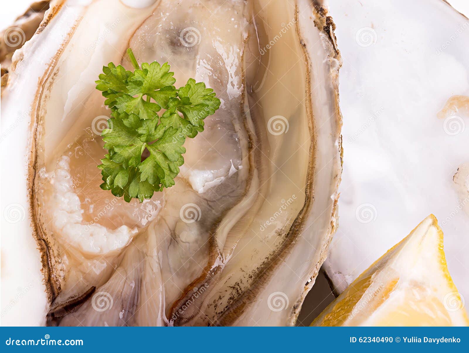 Oysters Close-up As a Background. Stock Photo - Image of oyster ...