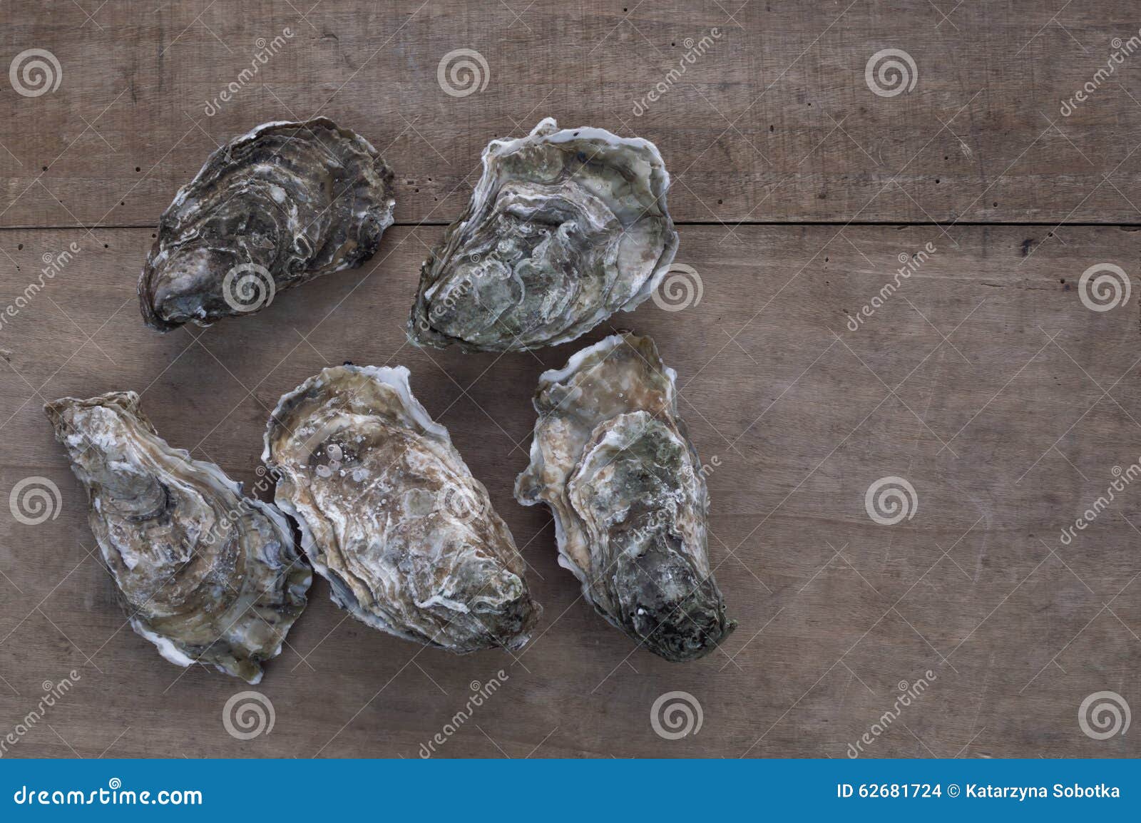 Oysters stock photo. Image of lunch, shell, wooden, food - 62681724