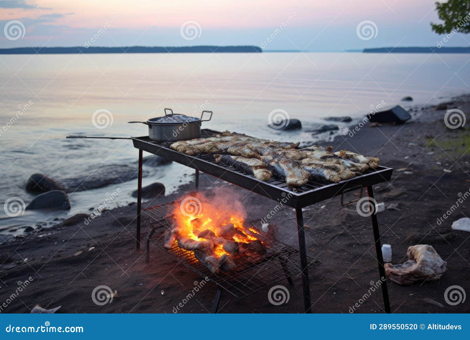 Oysters Grilling on a Portable Beach Bbq with Waves in the Distance ...