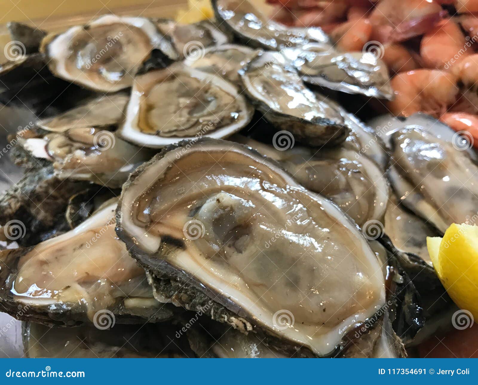 Oysters on the Half Shell stock image. Image of slimy - 117354691