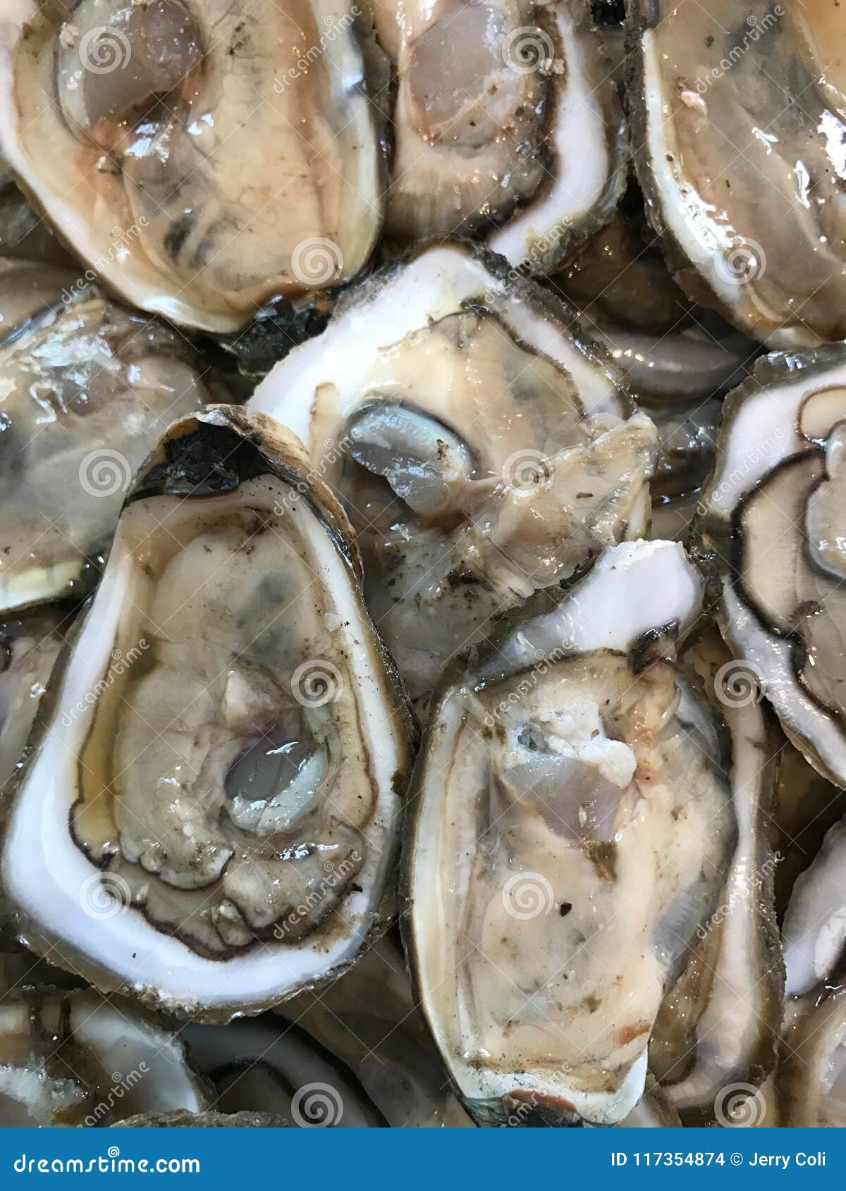 Fresh Oysters on the Half Shell Stock Photo - Image of seafood ...
