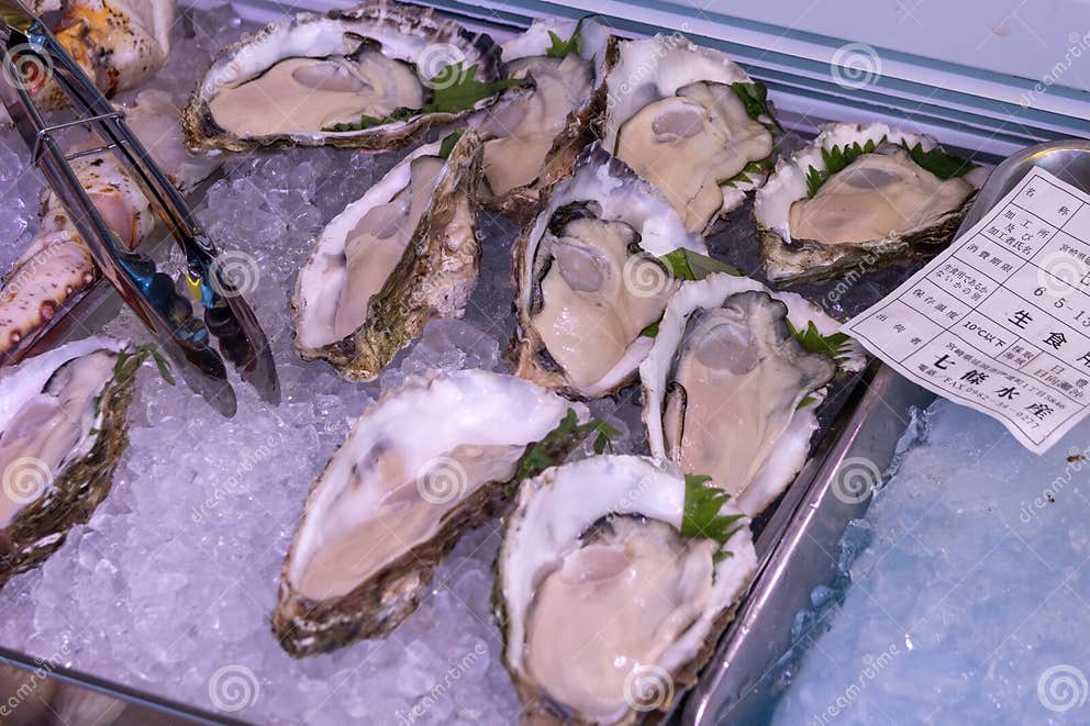 Oysters on the Half-shell with Little Lemon Juice Editorial Photography ...
