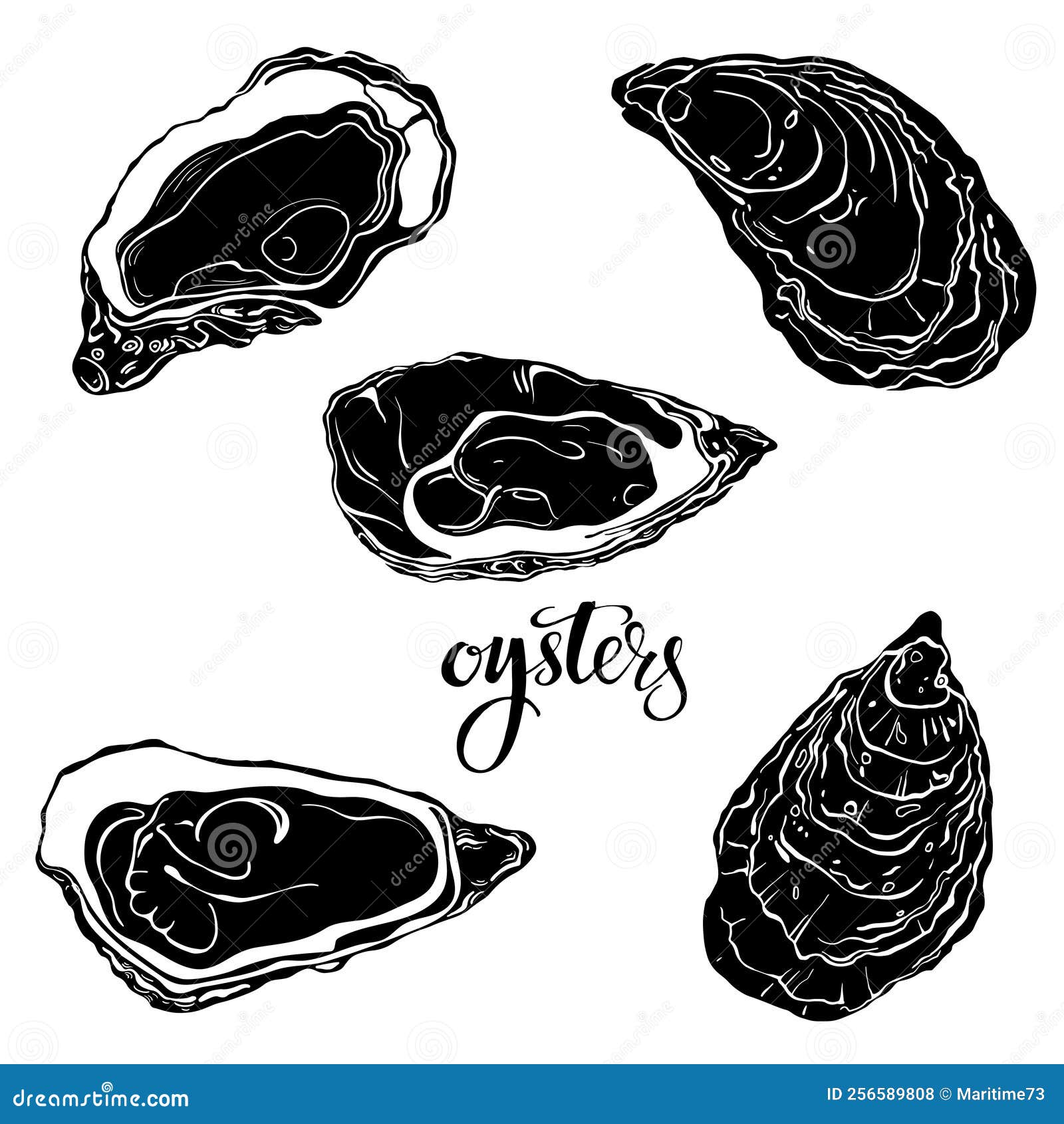 Oysters, Hand Drawn Vector Set Of Templates For Menu Design, Packaging ...