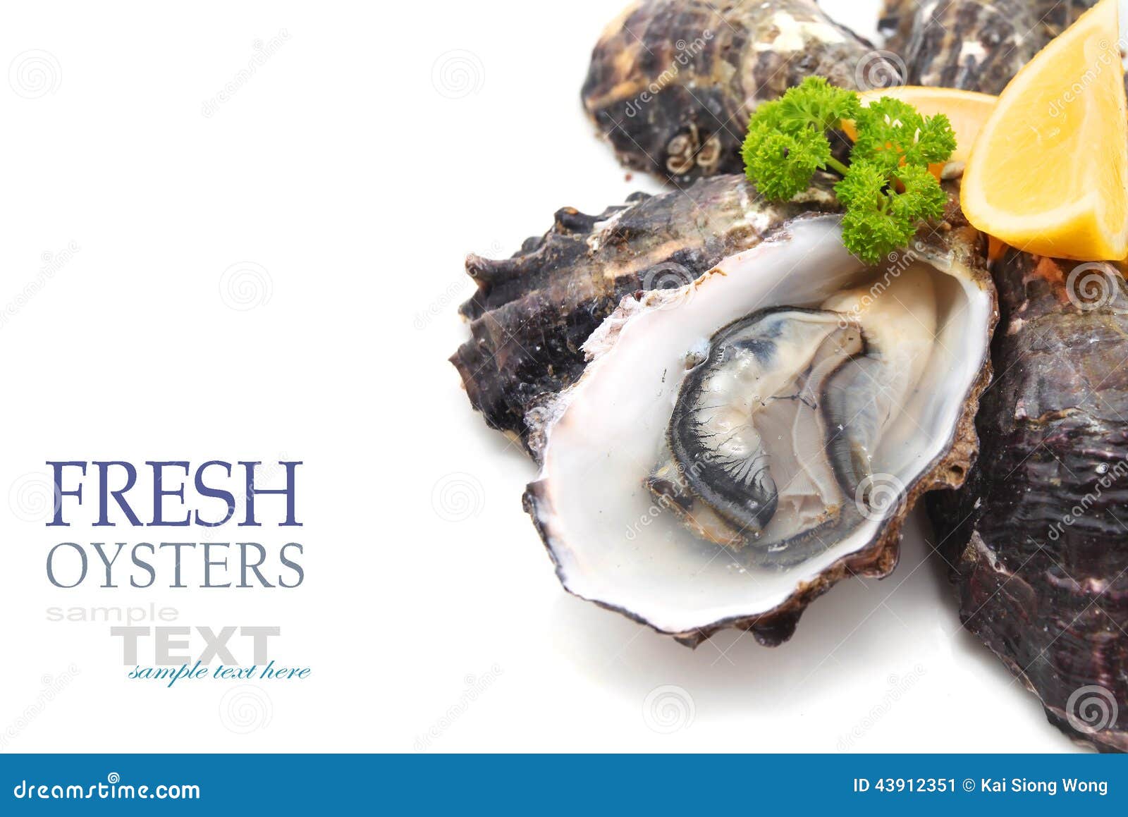 Oysters stock image. Image of dish, color, oysters, kitchen - 43912351