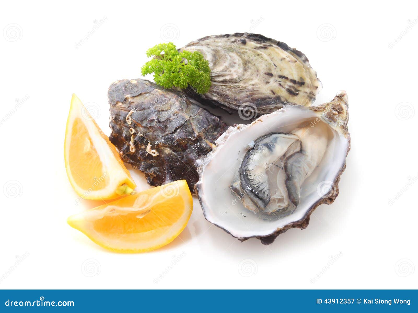 Oysters stock image. Image of lemon, mussel, food, oyster - 43912357