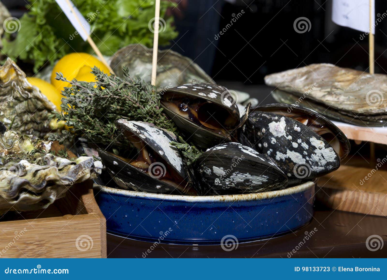 Oysters, Live Shellfish in the Shell, Seafood, Food Stock Image - Image ...