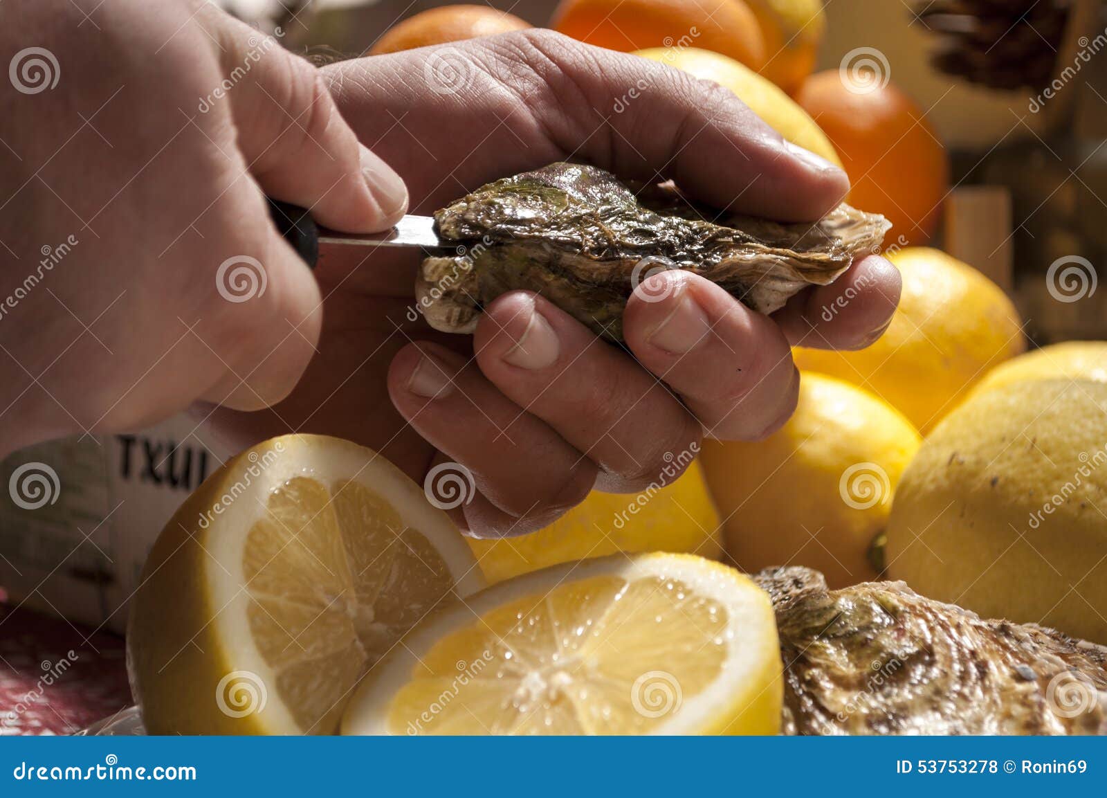 Oysters stock photo. Image of dirty, concepts, healthy - 53753278