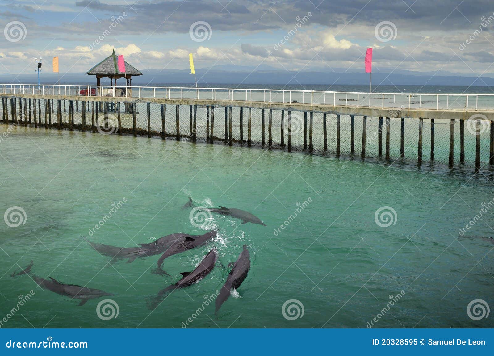 Ozamis Islet Dolphin Reserve Stock Image - Image of nature, islet: 20328595