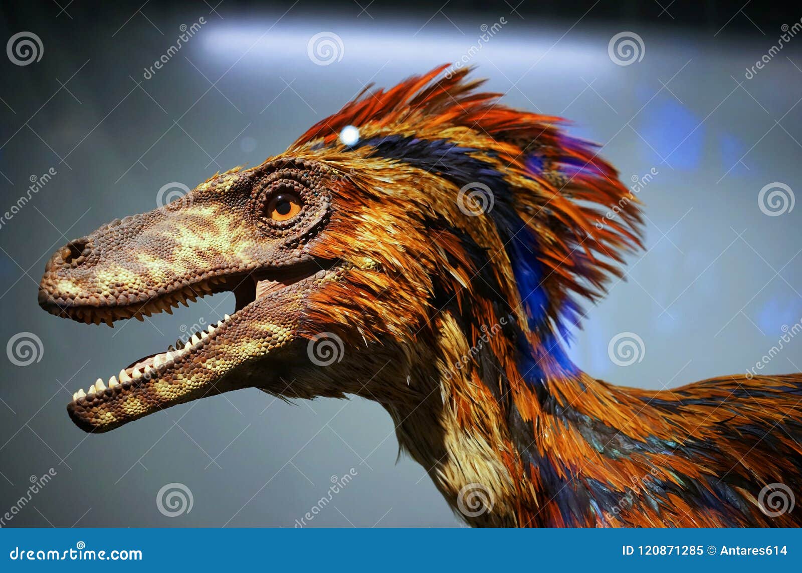 Pájaro Con Alas Del Dinosaurio Imagen editorial - Imagen de mohawk ...