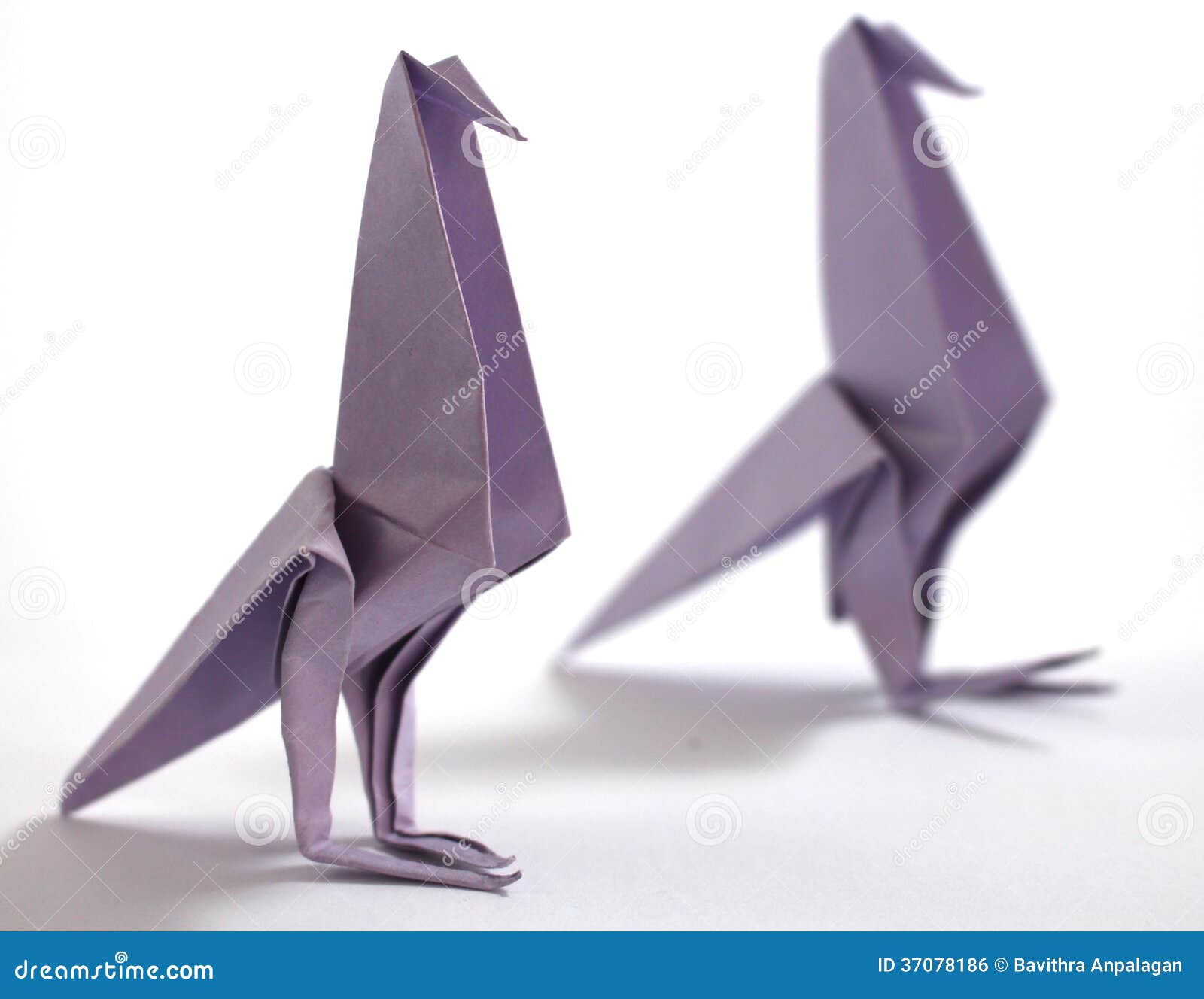 Pájaro de la papiroflexia foto de archivo. Imagen de plegamiento - 37078186