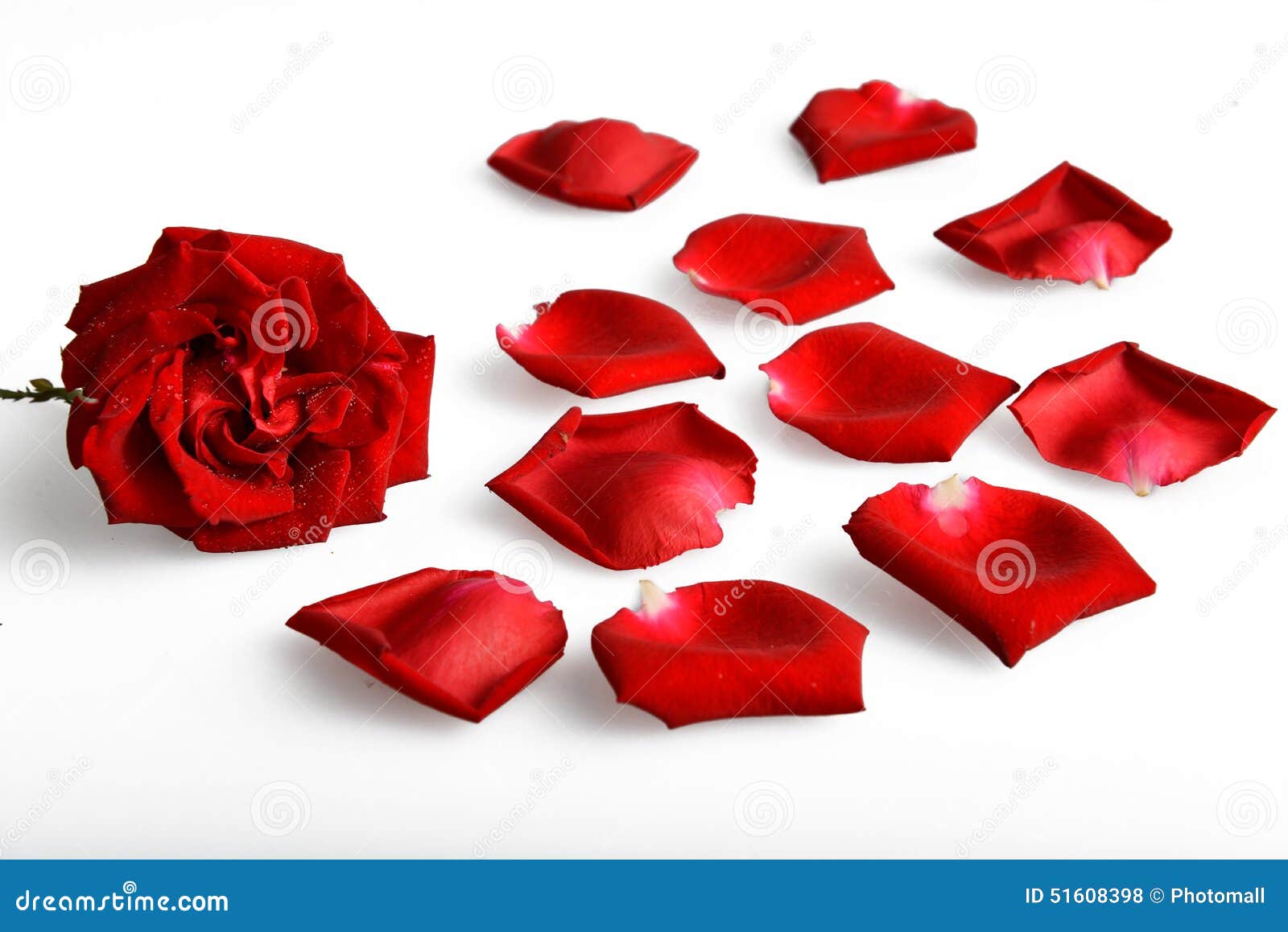 651,273 Pétale Photos libres de droits et gratuites de Dreamstime