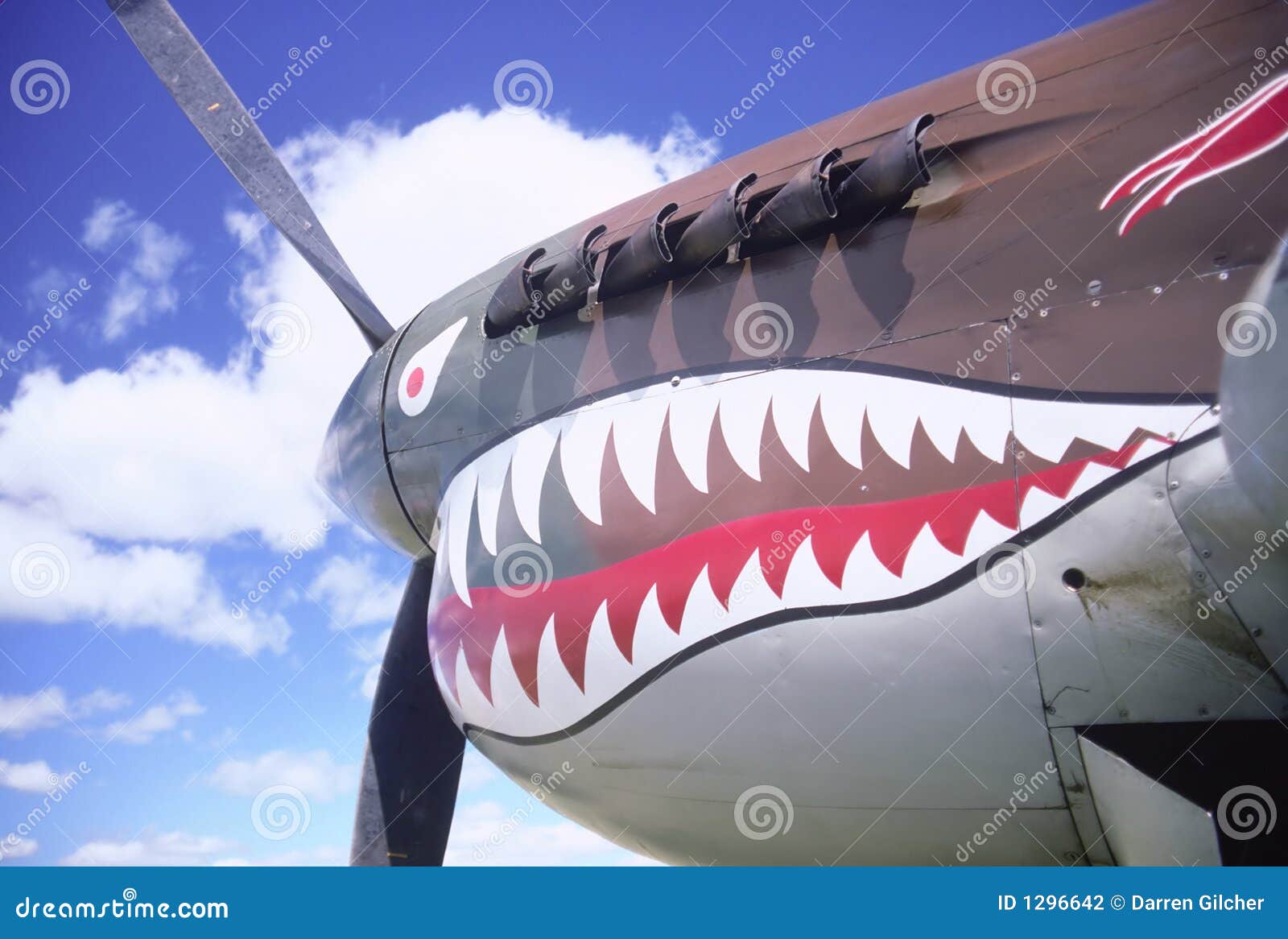 P-40 Warhawk stock photo. Image of historic, flying, warbird - 1296642