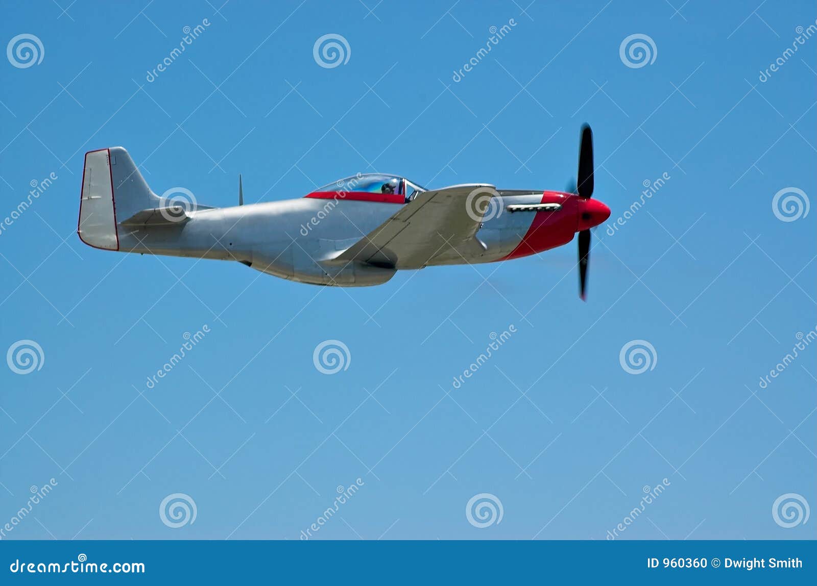 P-51 on Blue stock photo. Image of airforce, single, flight - 960360