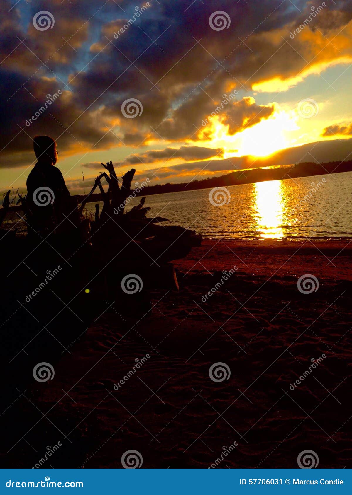 Stump At A Beach . A Stump And The Beach Sunset . Wave . A Tree Stump ...