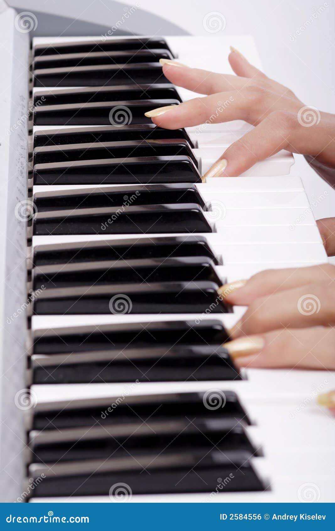 P key stock photo. Image of hand, keyboard, ebony, instrument - 2584556