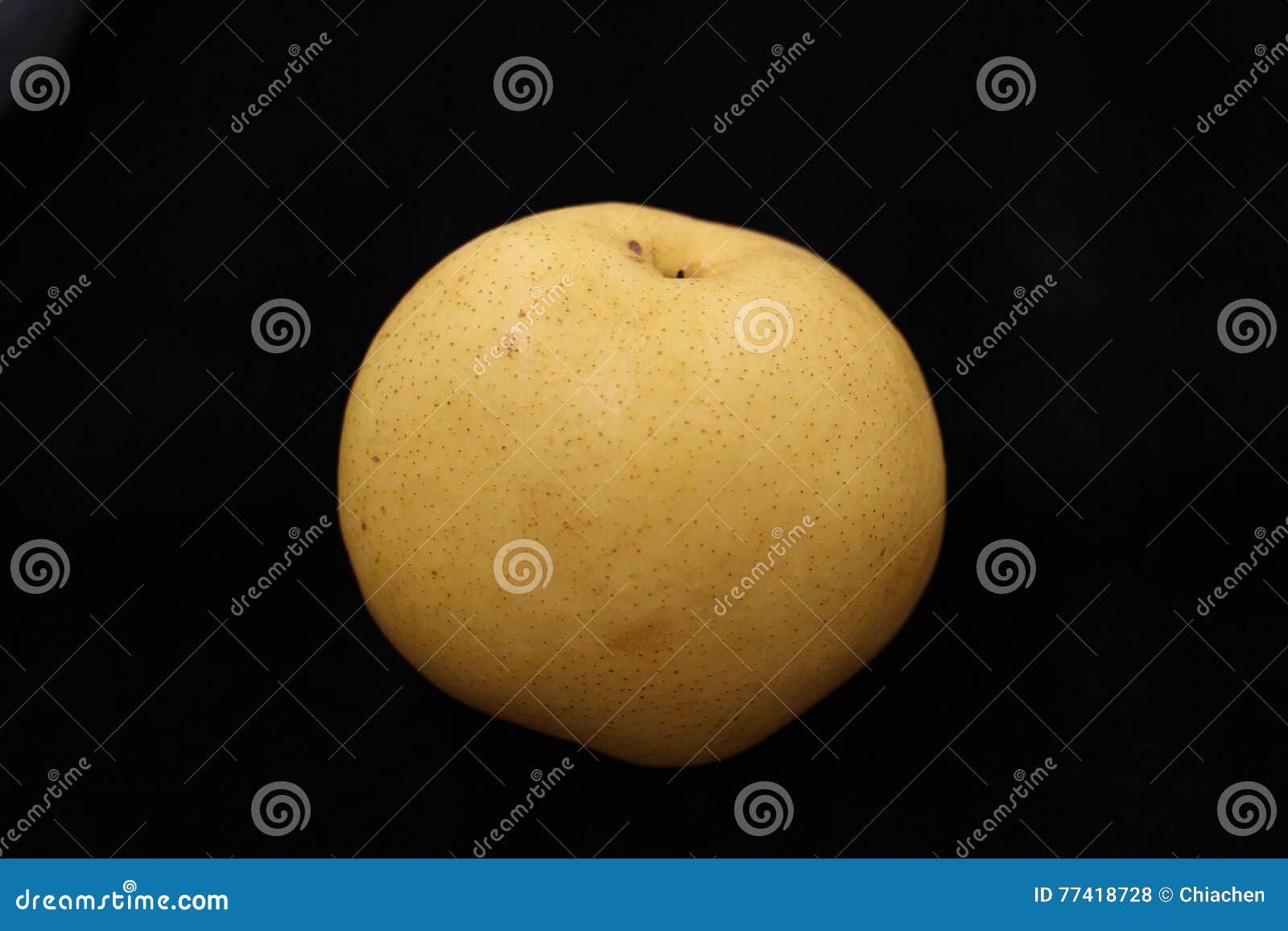 P. serrulata Rehd stock photo. Image of persistent, pear - 77418728
