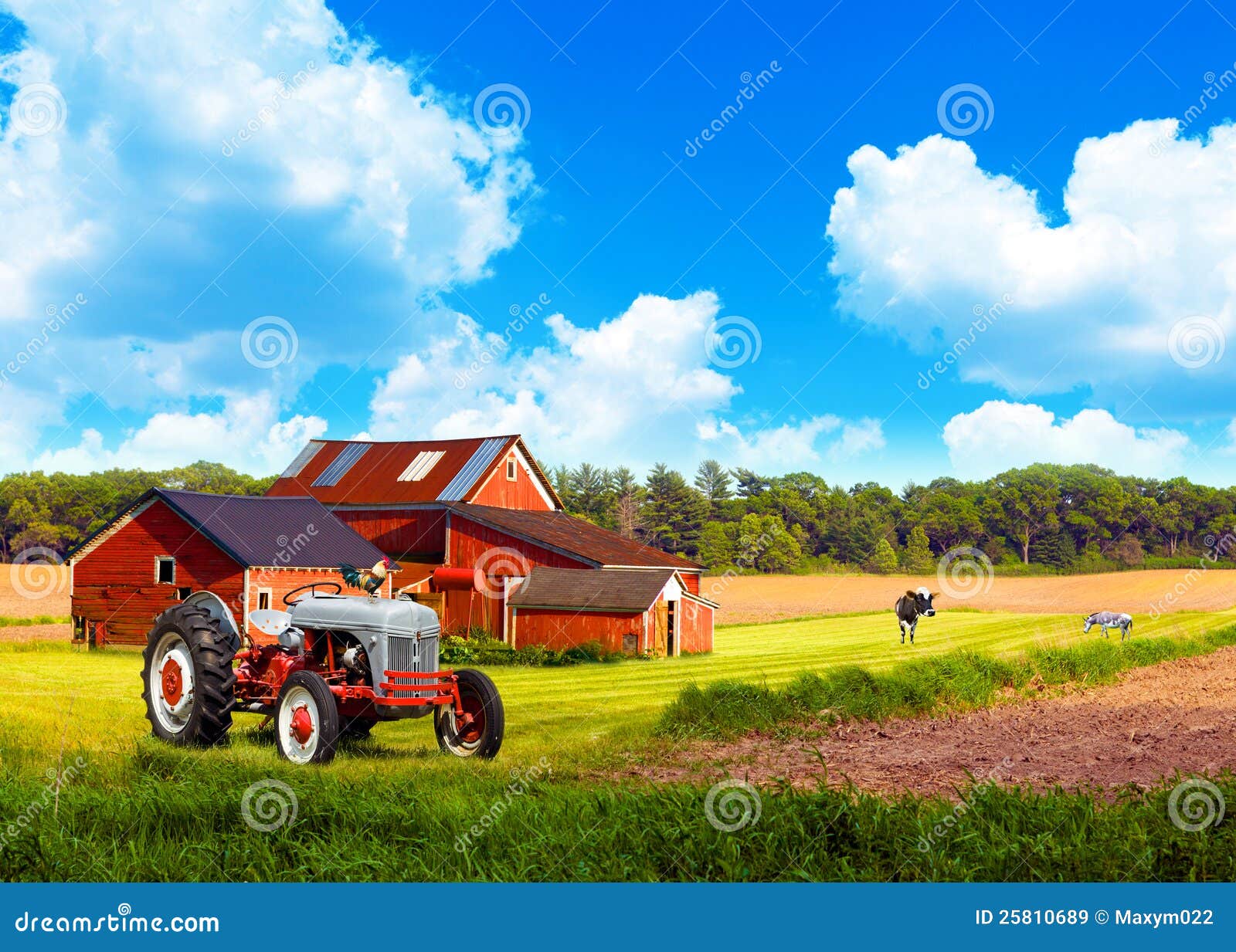 País americano imagen de archivo. Imagen de césped, paisaje - 25810689