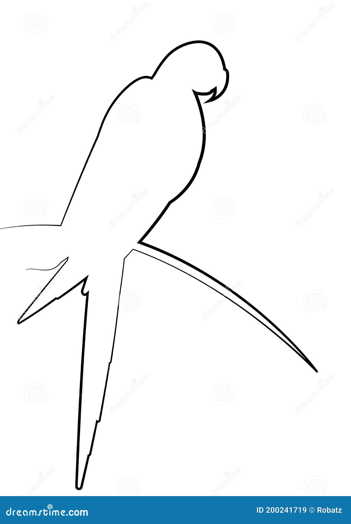 Parrot Bird Line Art Style, Continuous Black Line Drawing, Macaw Bird ...