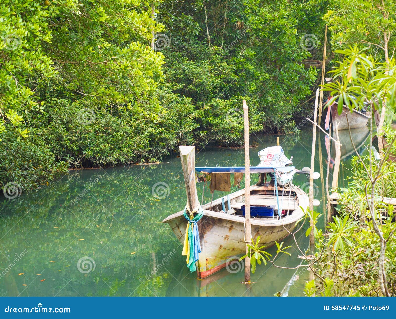 Pa Phru Tha Pom Khlong Song Nam Stock Image - Image of song, green ...