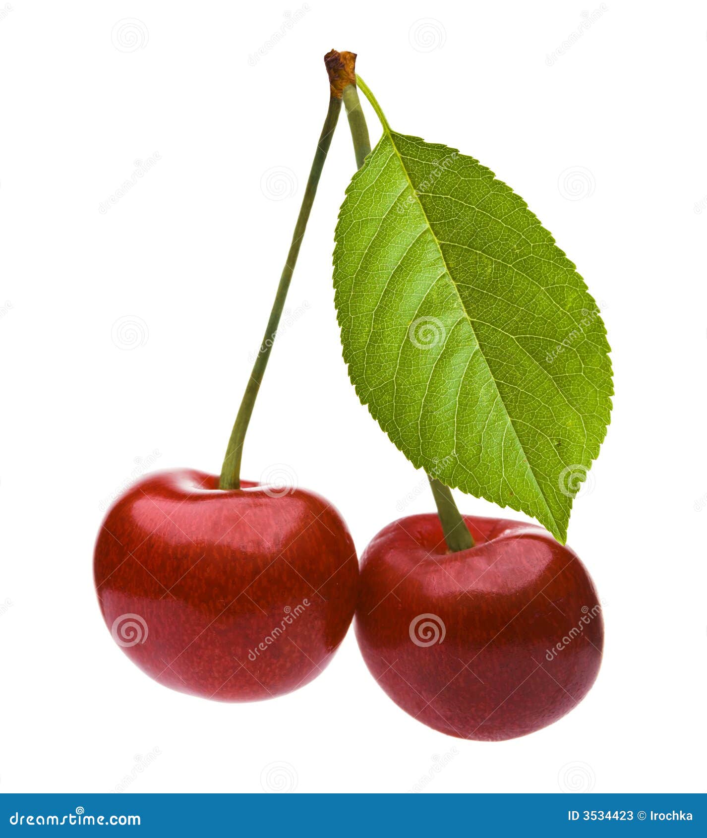 Paar kersen stock afbeelding. Image of voedsel, vrucht - 3534423