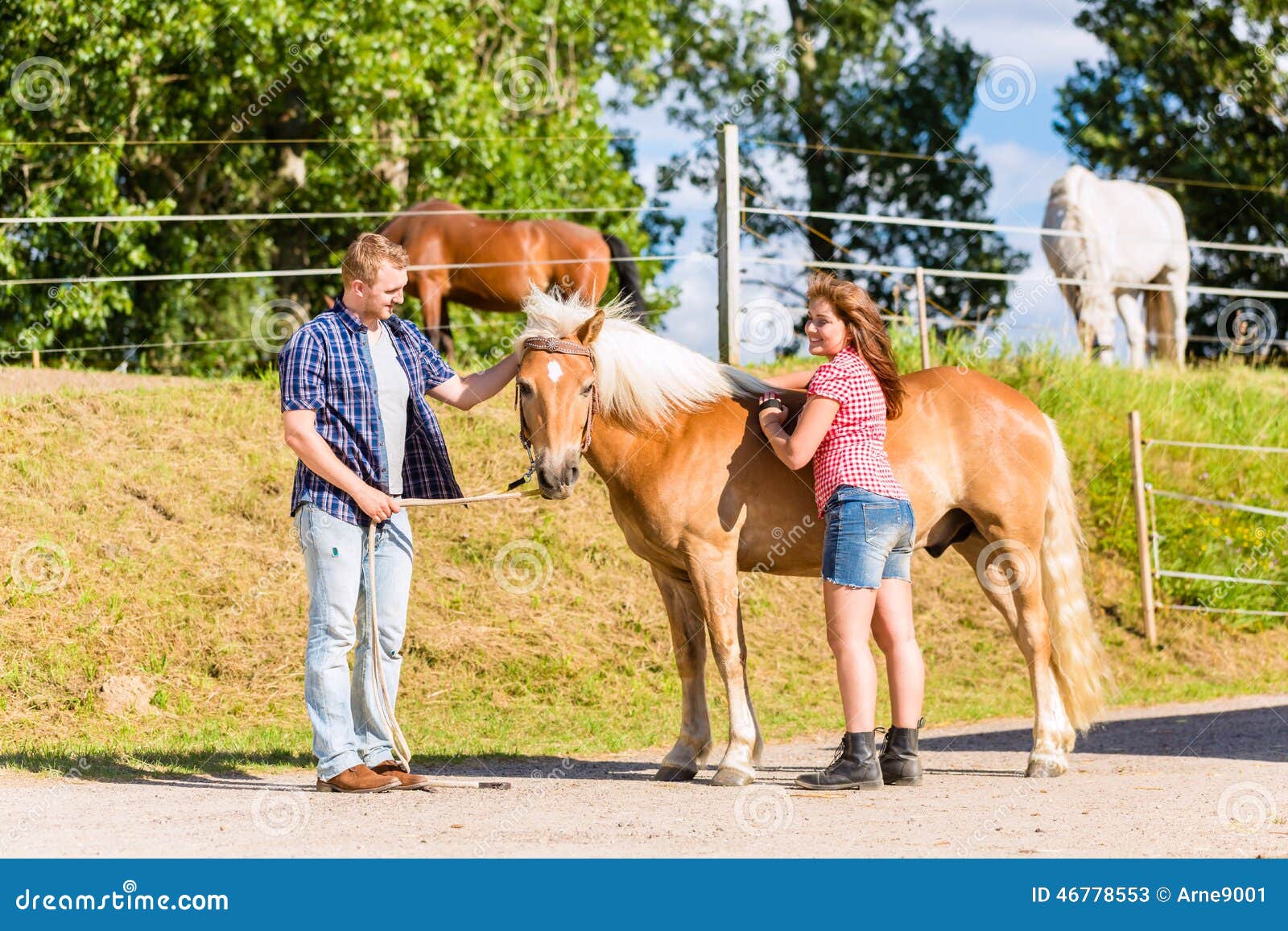 Paar petting paard op stal stock afbeelding. Image of ruiter - 46778553