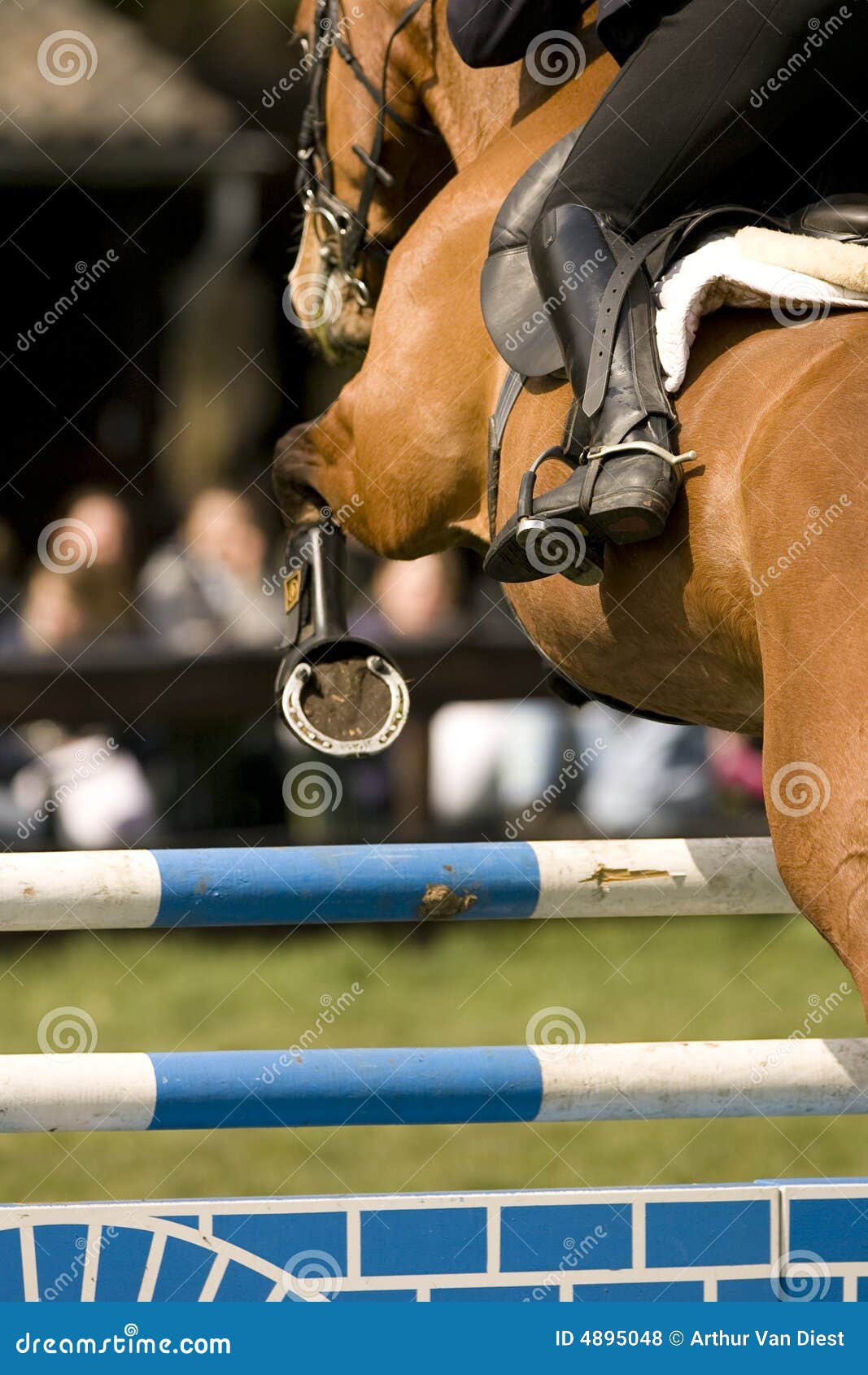 Paard dat 011 springt stock foto. Image of stabiel, hindernis - 4895048