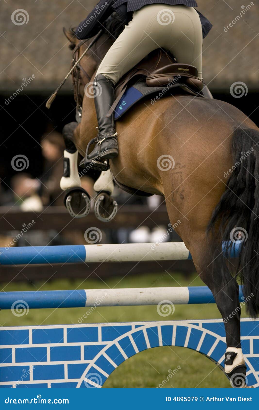 Paard dat 020 springt stock afbeelding. Image of sporten - 4895079